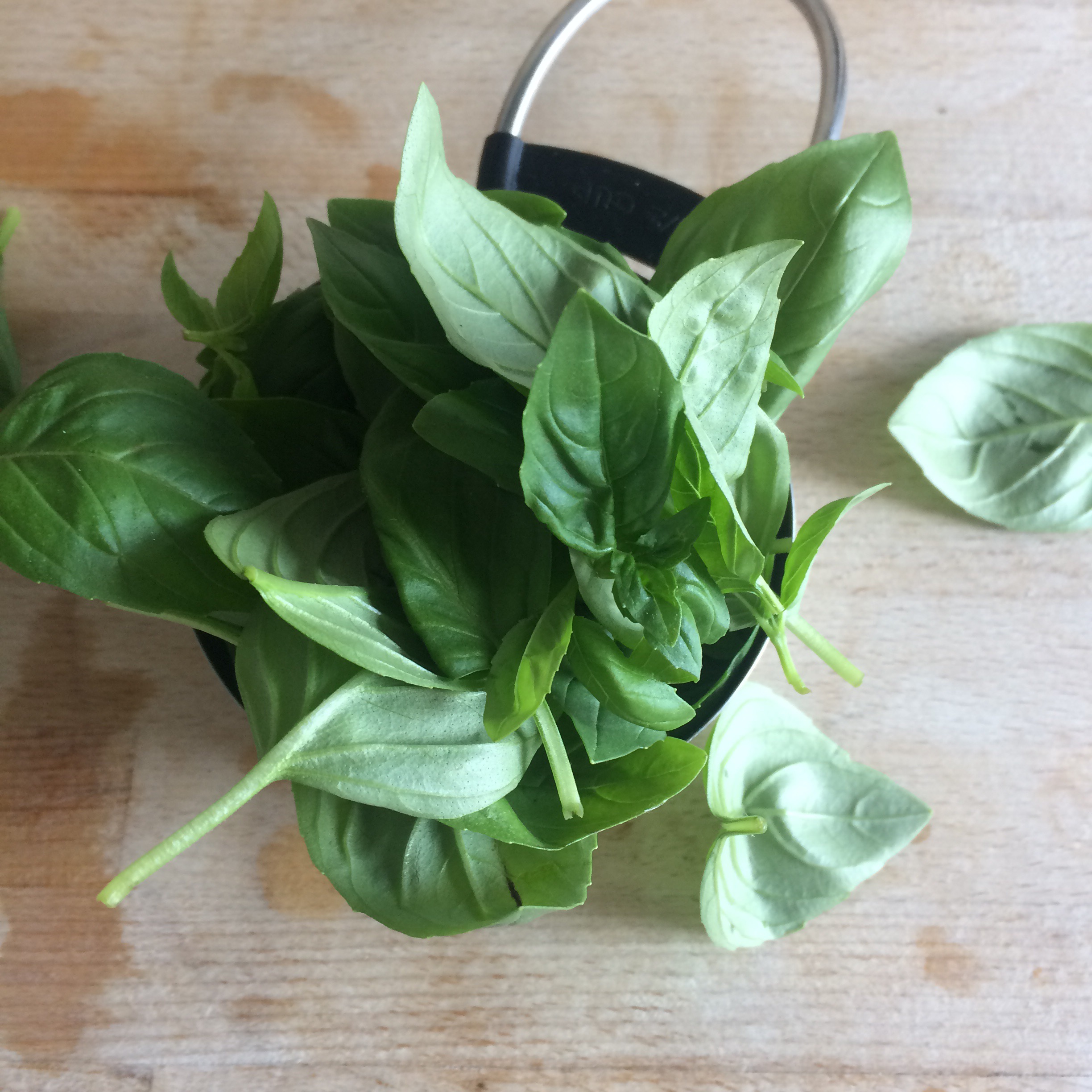 Allotment Cooking: Carrot Top Pesto | Nic Dempsey