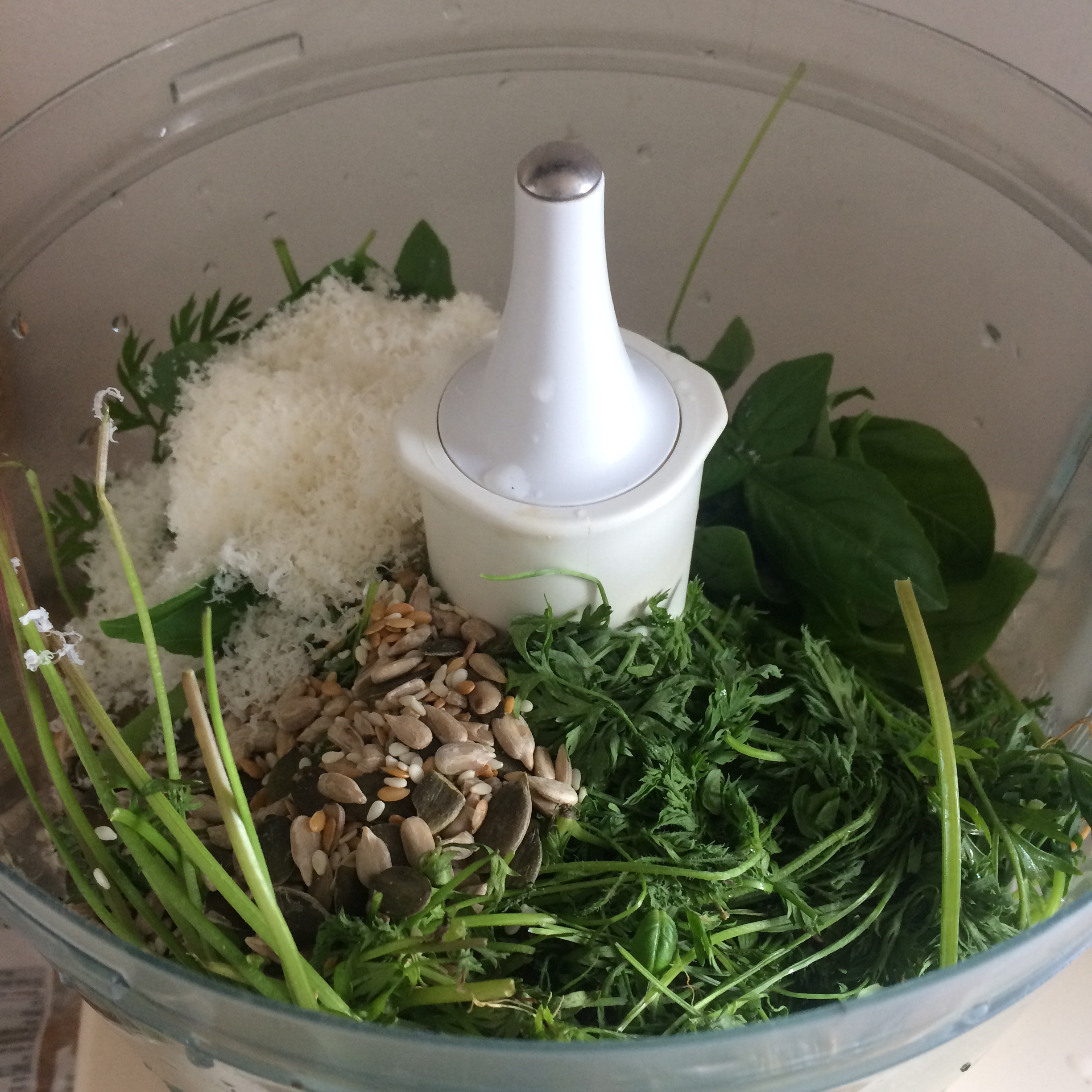 Allotment Cooking: Carrot Top Pesto | Nic Dempsey