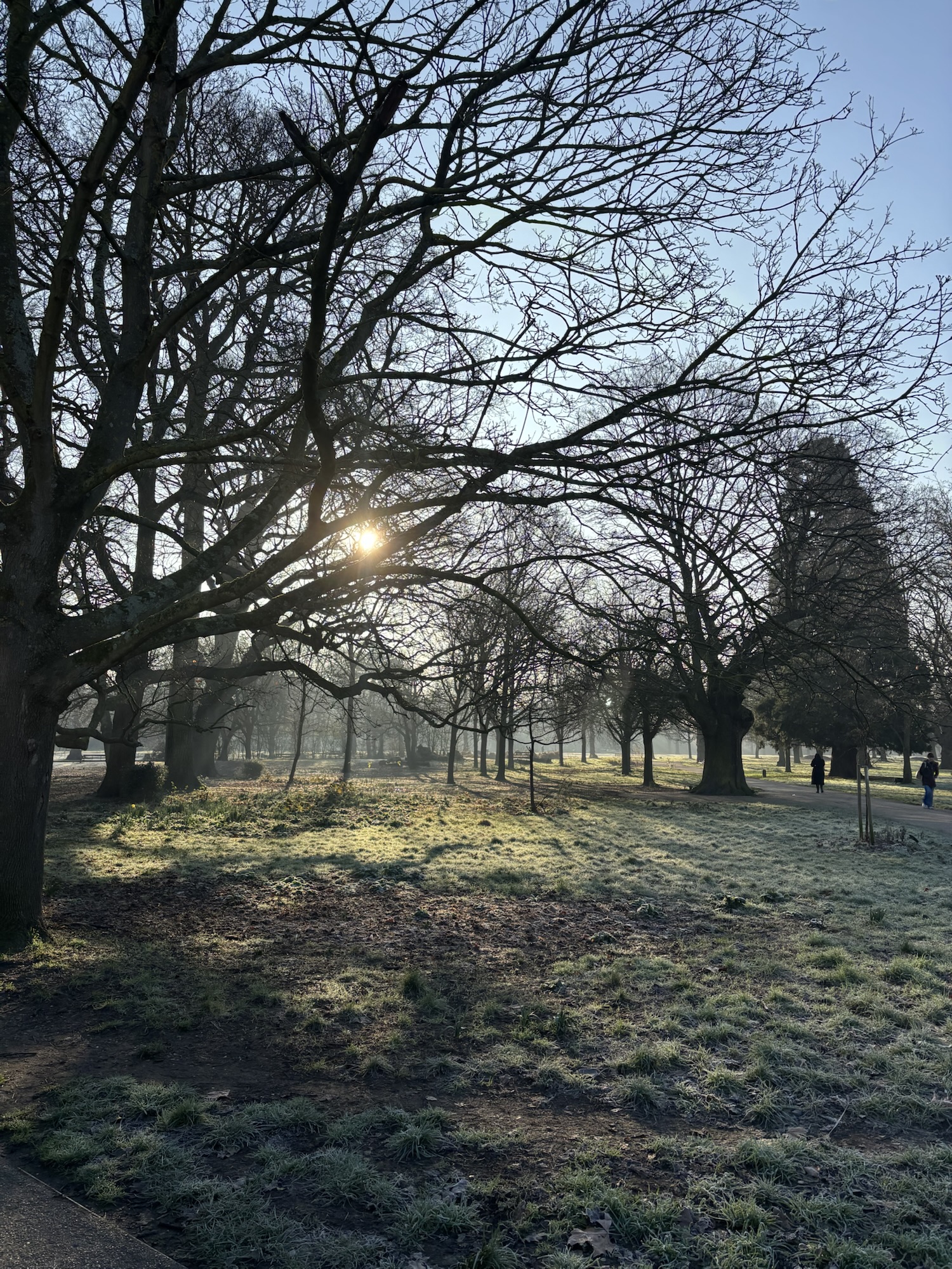 Monday Miscellany: Signs of Spring | Nic Dempsey