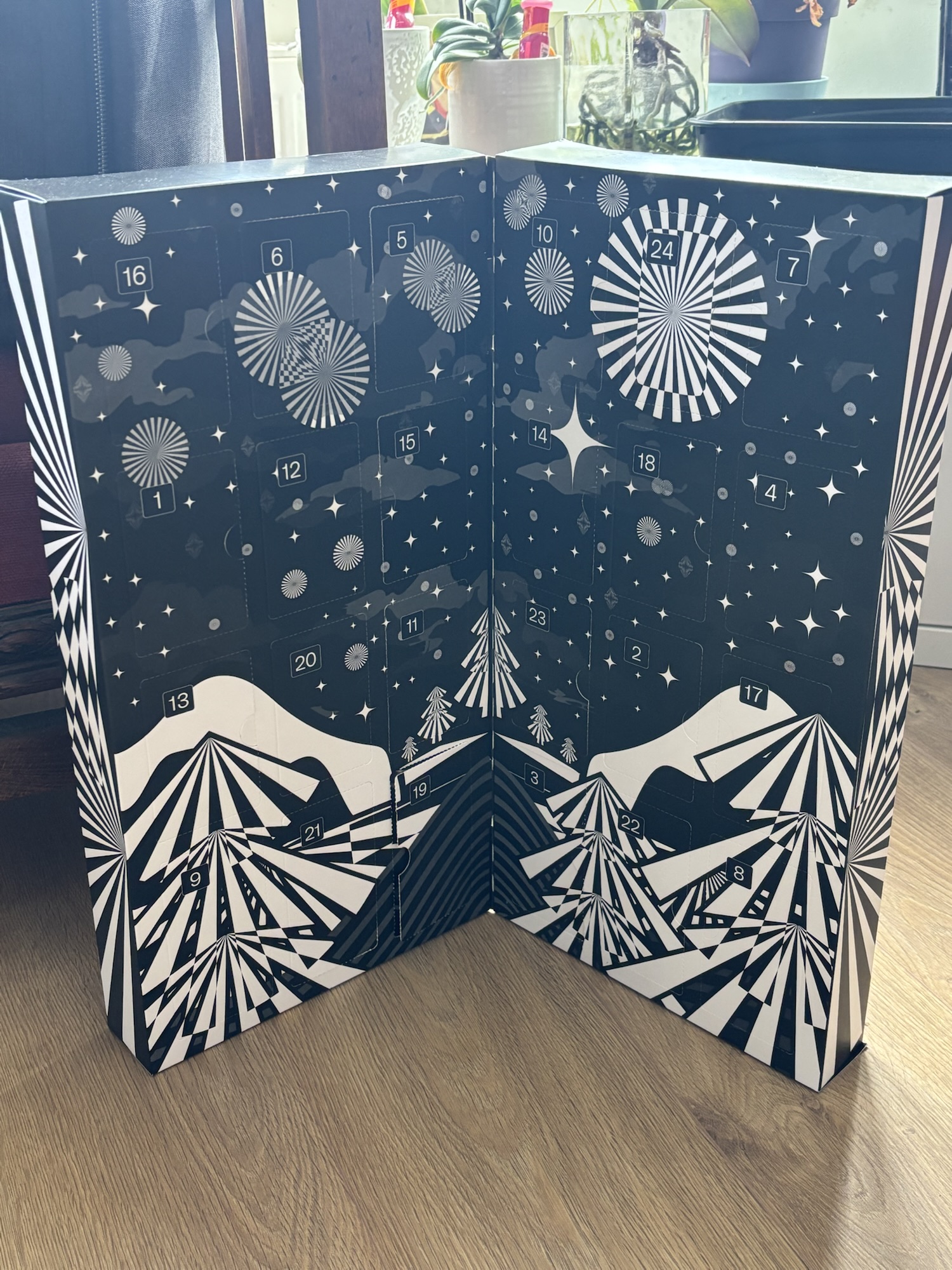 Treats: Moth Advent Calendar | Nic Dempsey